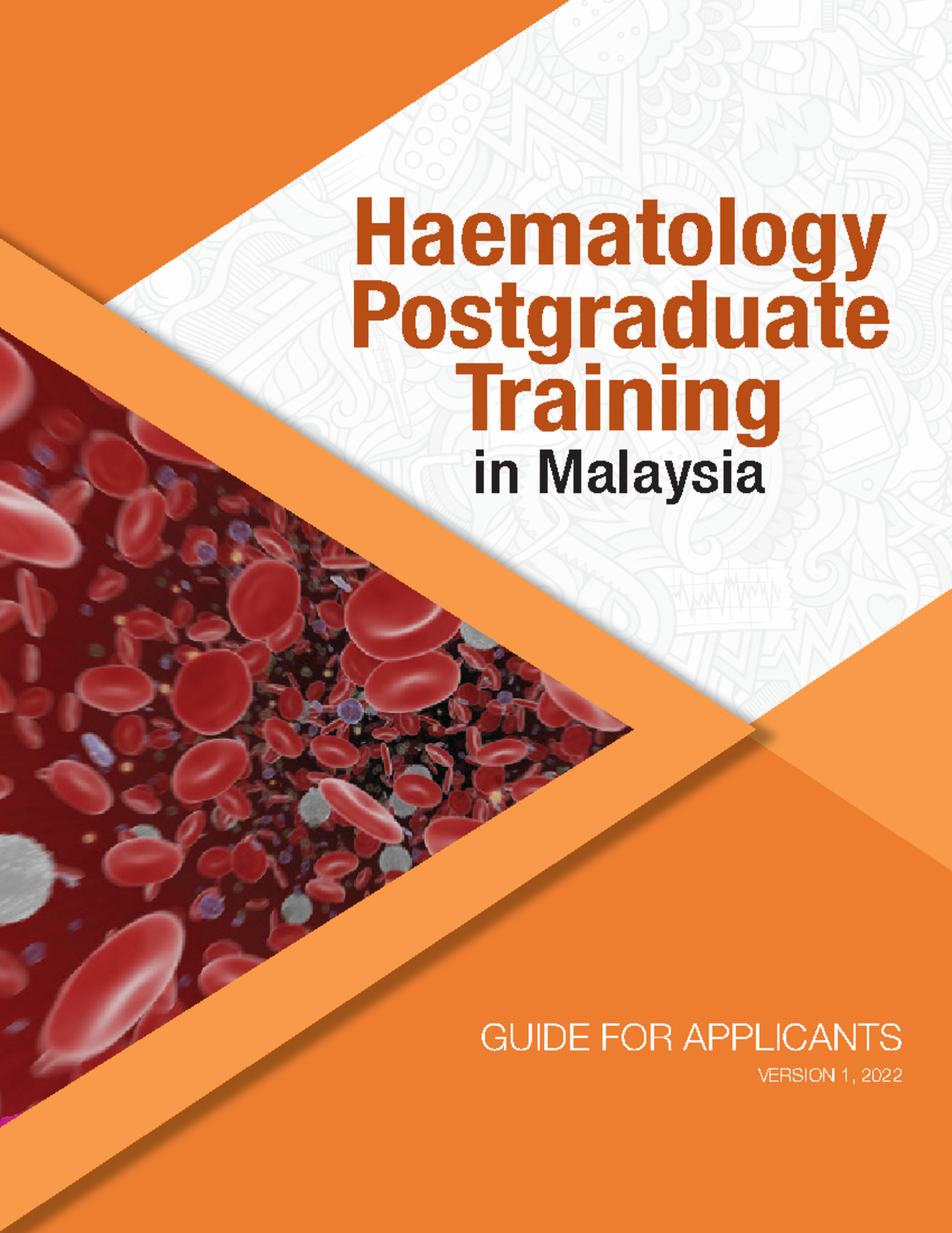 Applicant Guide - NPMC Haematology AG - 2023 06 23 Hpp Final ...