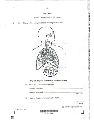 HSB Paper 2 2023 - Introductory Biology - Studocu