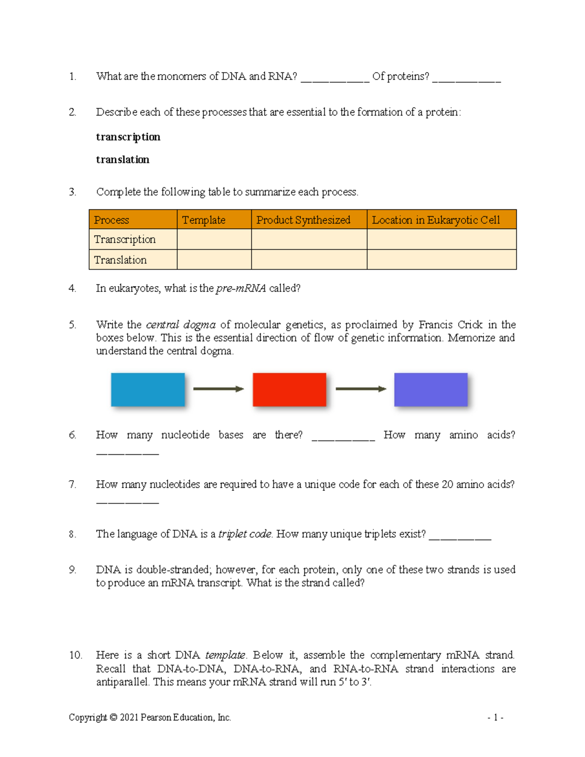 Active Reading Guide: Molecular Genetics (Chapters 17 & 18) - Studocu