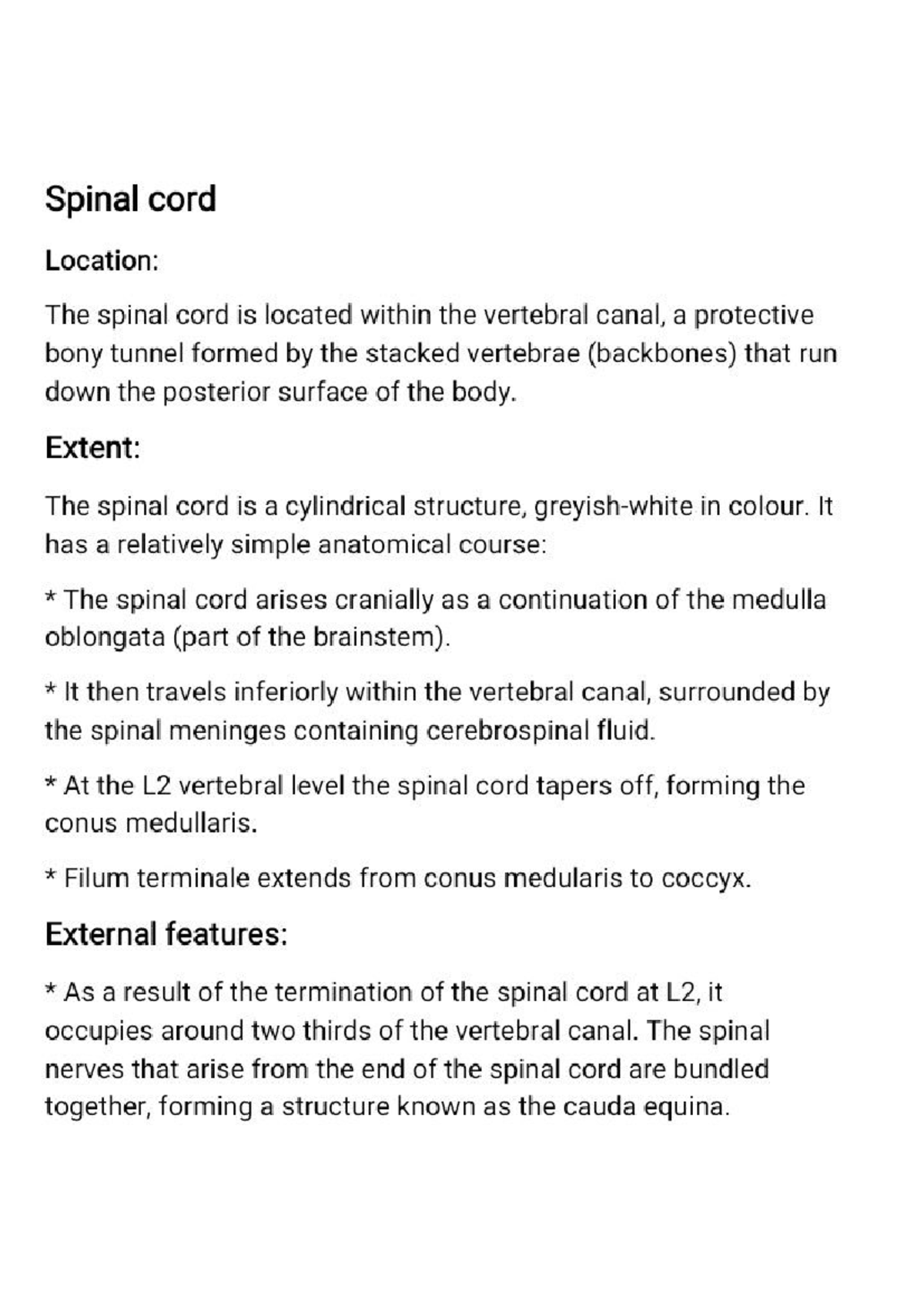 Anatomy of the Spinal Cord: Location, Structure, and Features - Studocu