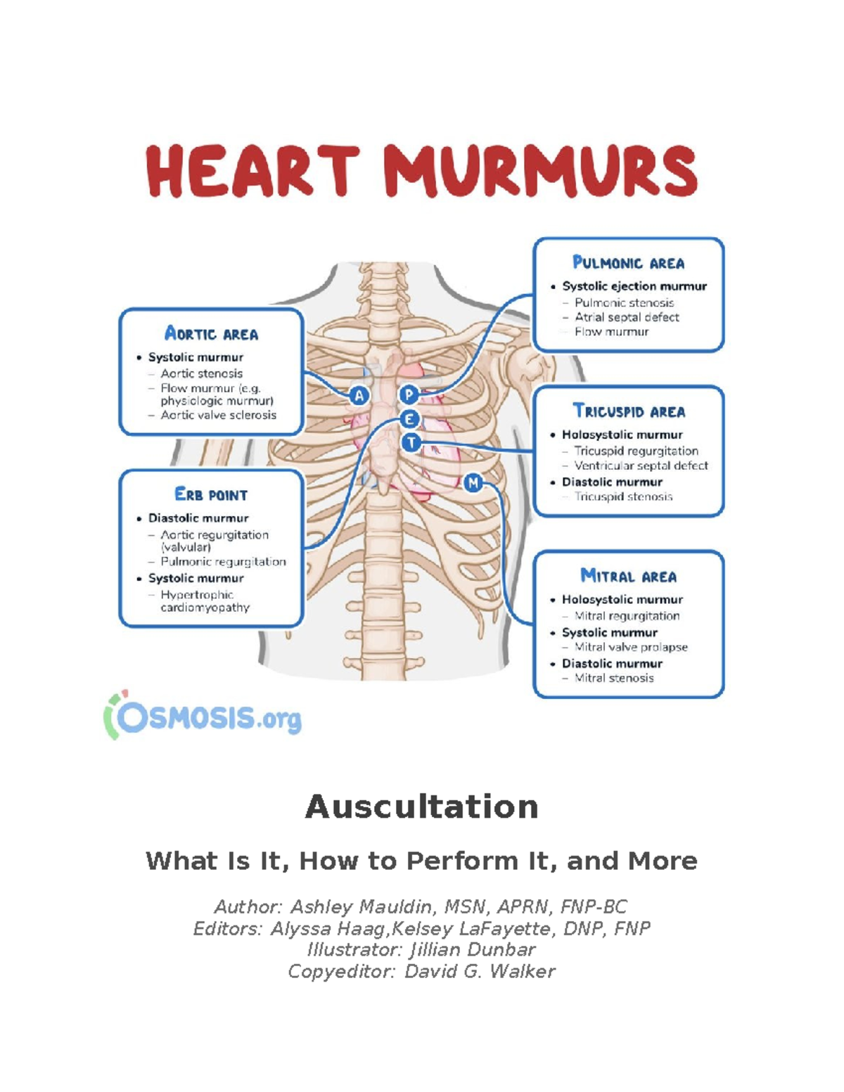 Auscultation - ASCULTATION - Auscultation What Is It, How to Perform It ...