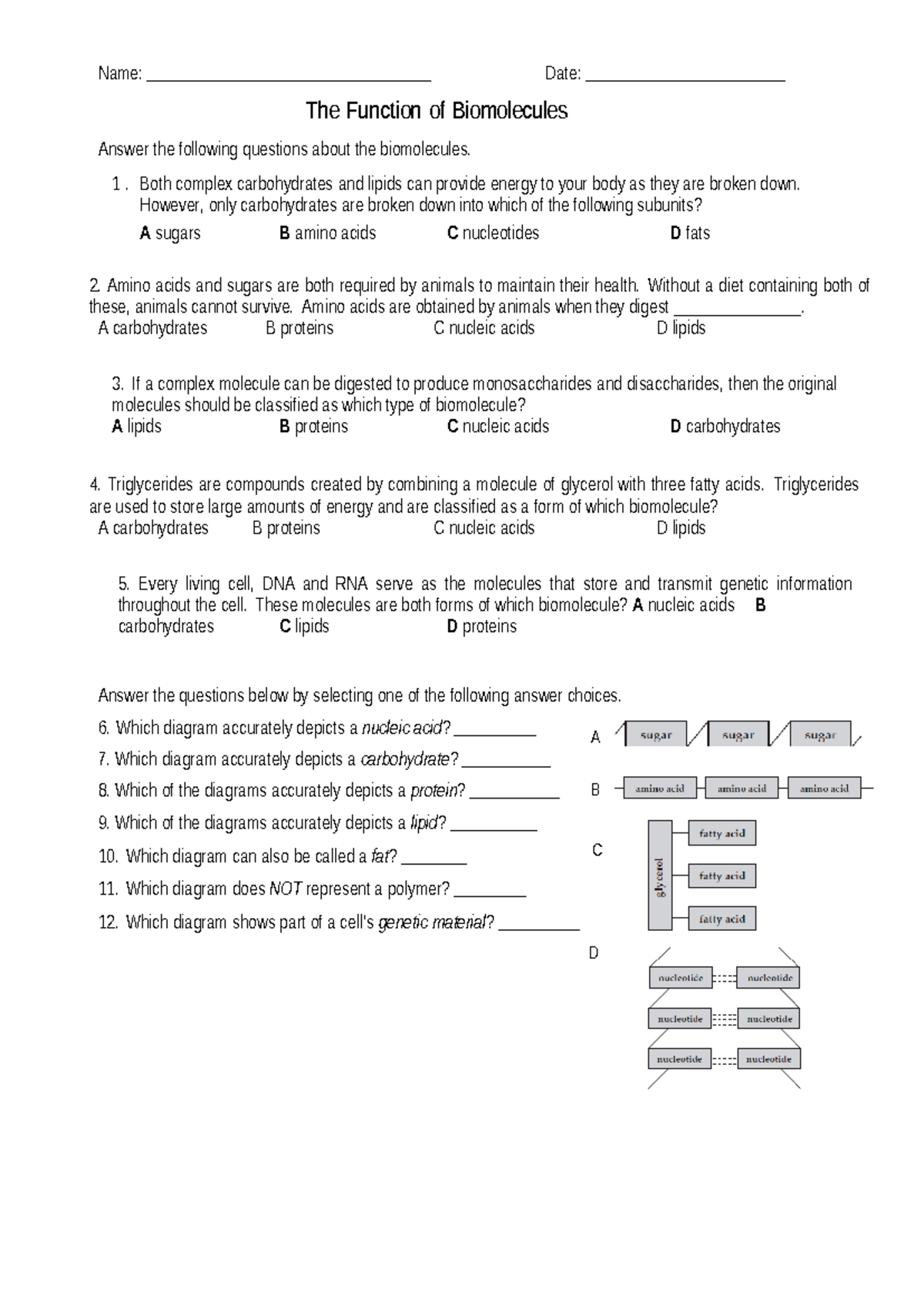 Biomolecules Structure and Function Worksheet: Quiz Questions and ...