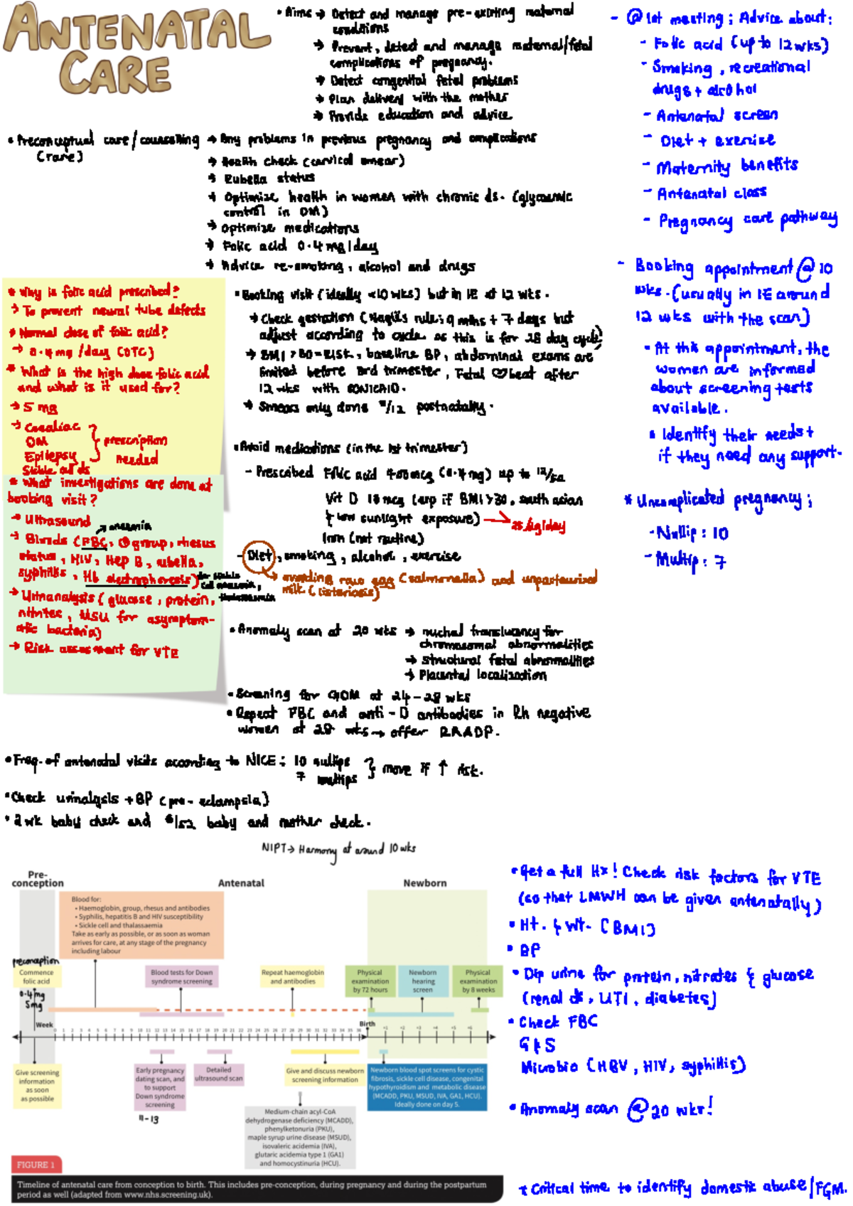 Antenatal Care - Lecture Notes 1 for Med 101: Maternal Health Insights ...