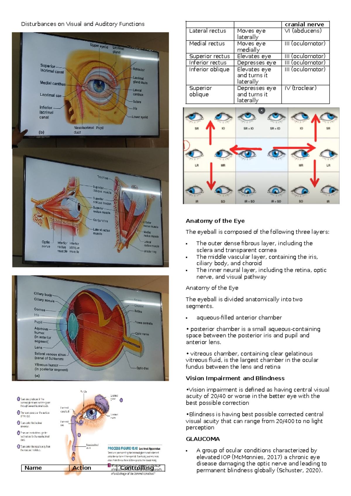 Visual & Auditory Disturbances: Anatomy, Pathology, and Management ...