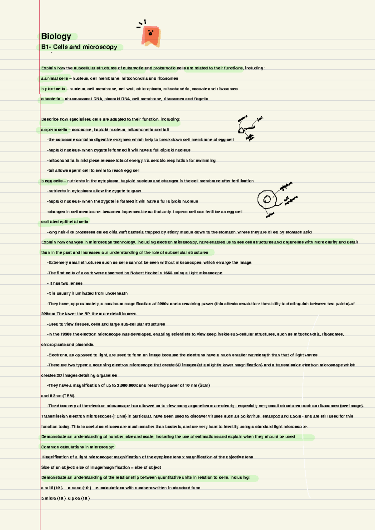 Edexcel Triple Biology Specification & Notes: Paper 1 Overview - Studocu