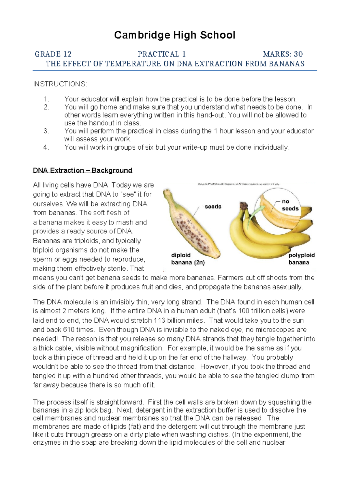 DNA Extraction and Temperature Effect Practical (Grade 12, 2019) - Studocu