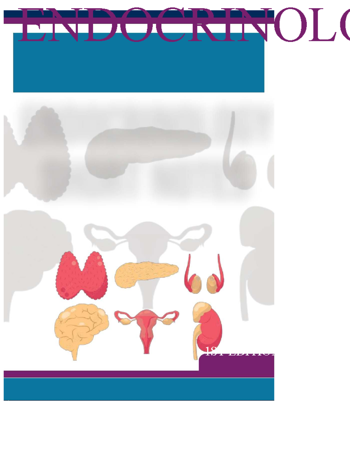 ENDOCRINOLOGY SHORT NOTES: Essential Guide for Medical Students (1st Ed ...