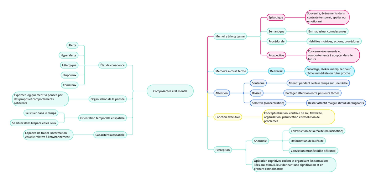 Mind Map pour Examen 1: Cognition et État Mental - Studocu