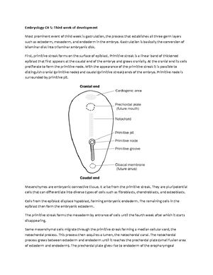 Ninja Nerd 🥷 Embryology Notes Complete - Development of the GIT Part 1 ...