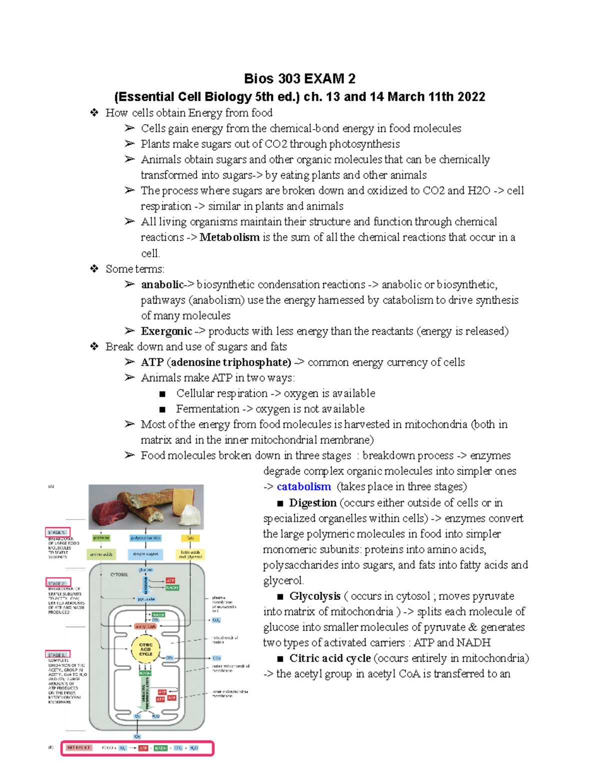 unit two for cellular biology - Bios 303 EXAM 2 (Essential Cell Biology ...