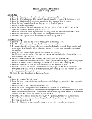 Stephanie Doria- Acid-Base balance notes - Stephanie Doria Prof. Brent ...