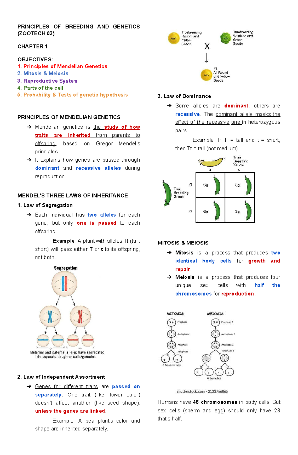 PRINCIPLES OF BREEDING AND GENETICS (ZOOTECH 03) CHAPTER 1 OVERVIEW ...