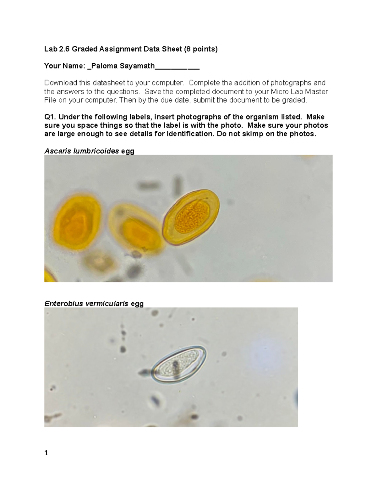 Micro Lab Assignment Data Sheet - Lab 2.6 (8 Points) - Studocu