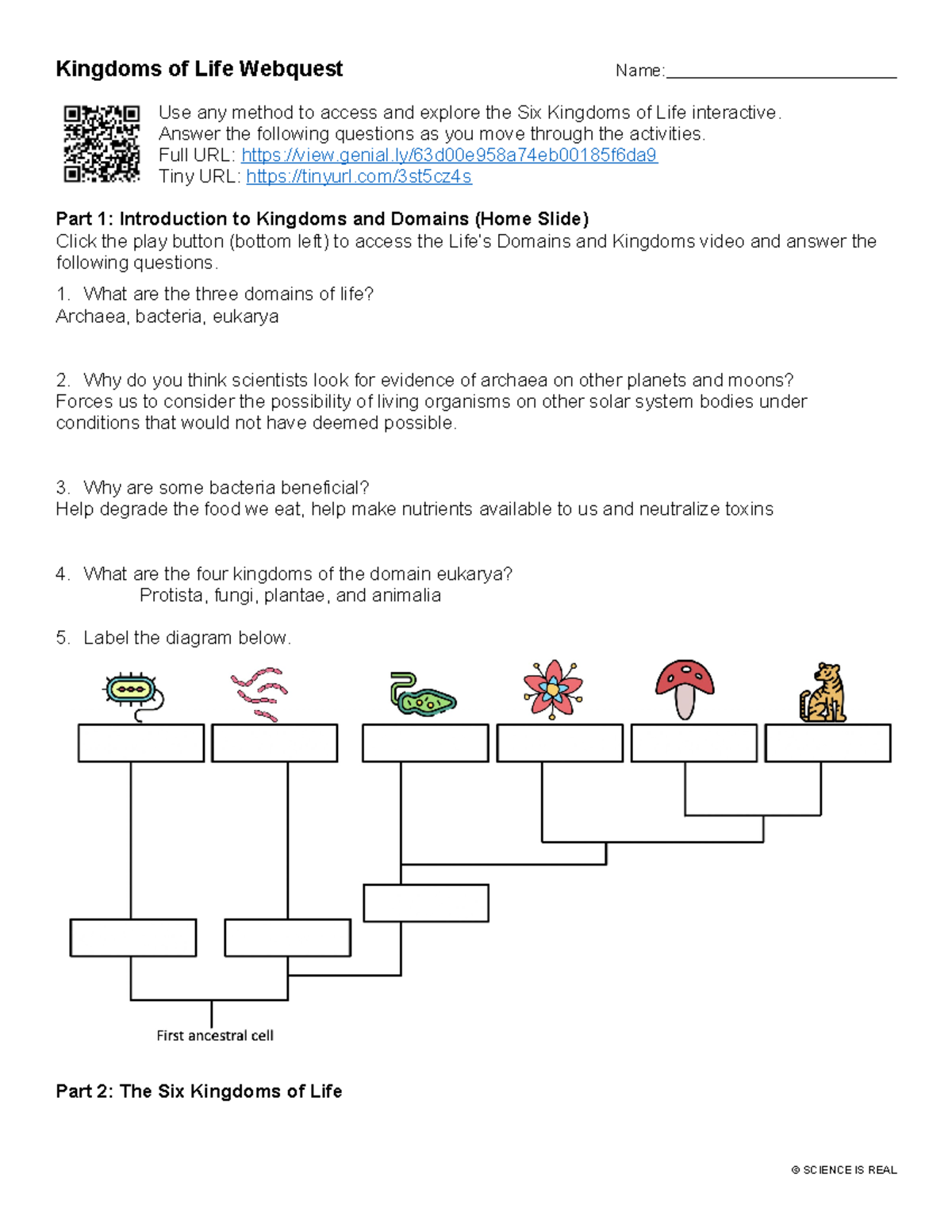 Kingdoms of Life Webquest Color Handout: Interactive Study Guide - Studocu