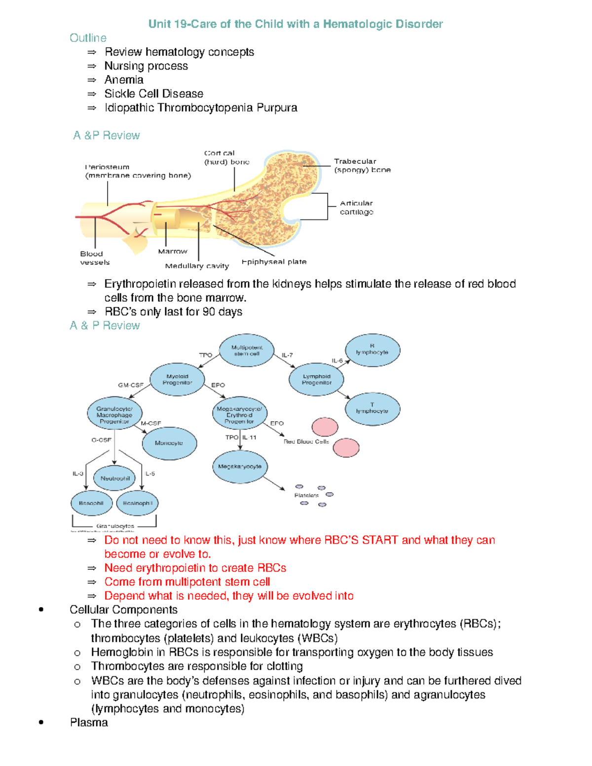 Unit 19-Hematological disorders(302) - Unit 19-Care of the Child with a ...