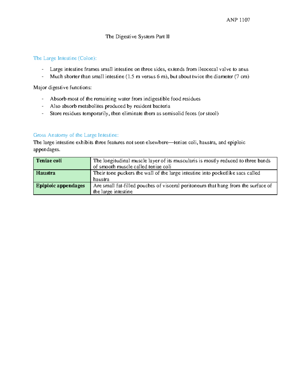 ANP 1107 The Digestive System II: Anatomy & Functions of Large ...