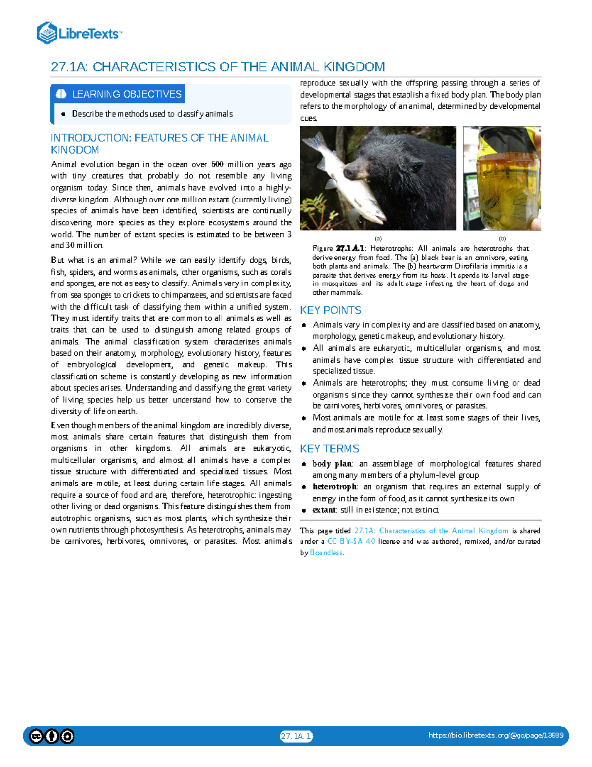 28.2A: Phylum Cnidaria - Key Characteristics and Classes - 27.1A bio ...