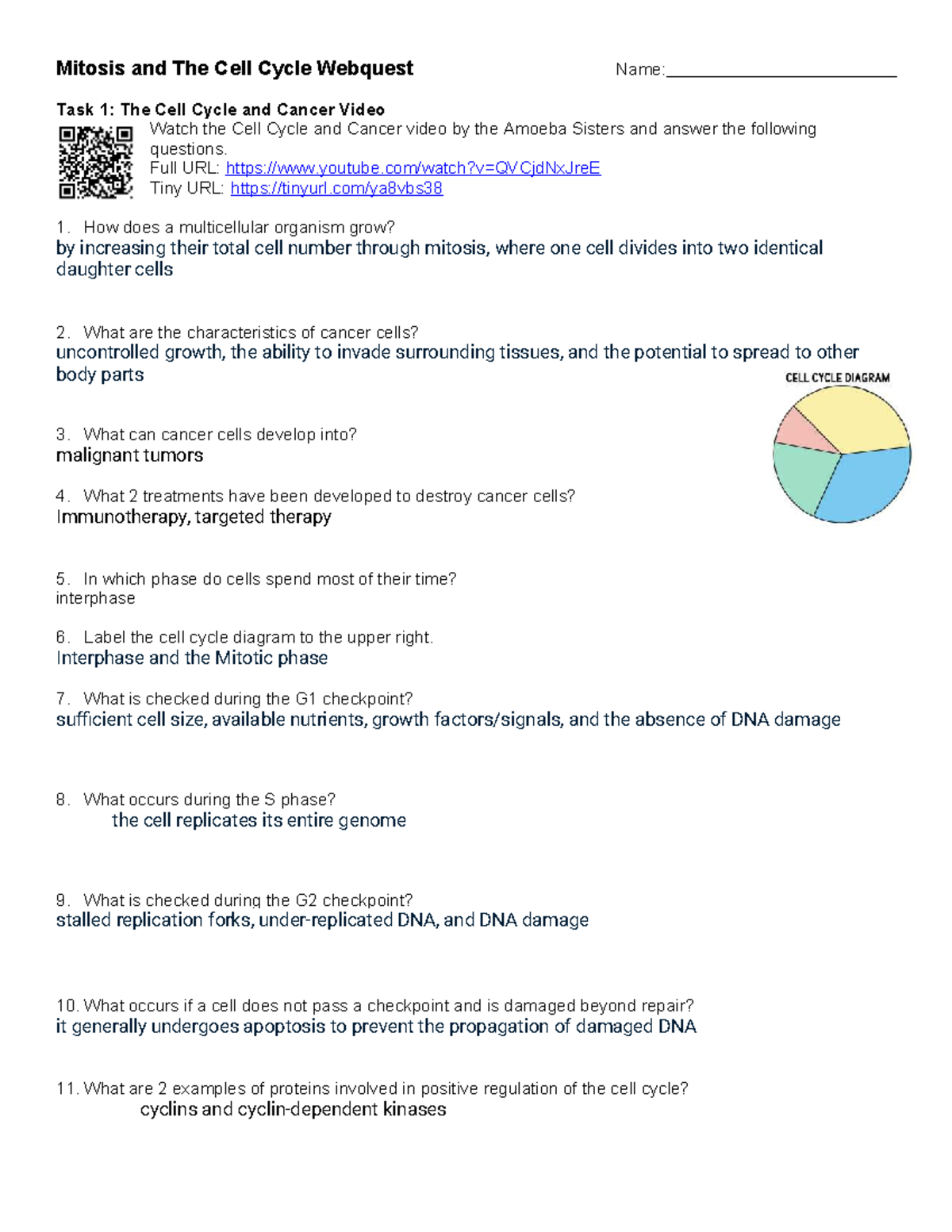 Mitosis and Cell Cycle Webquest (Biology 101) - Studocu