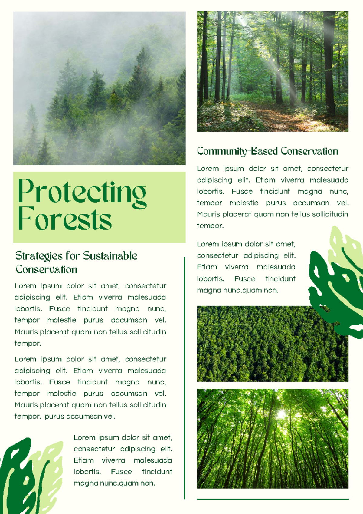 Community-Based Conservation Strategies for Sustainable Forests - Studocu