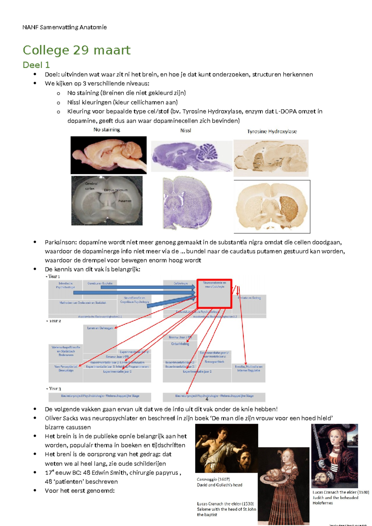 NANF Samenvatting Neuroanatomie - Kernstructuren en Functies - Studeersnel