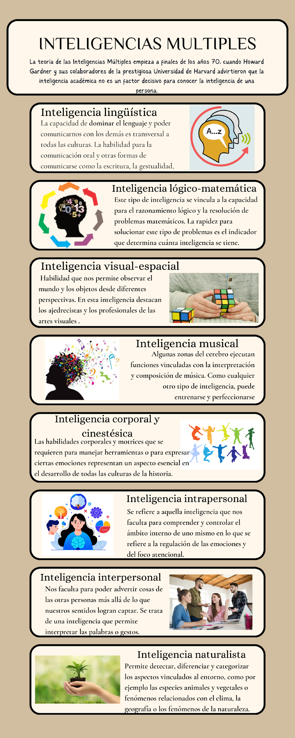 9 Tipos De Inteligencia Segn Gardner Y Ejemplos Infografa Y Video