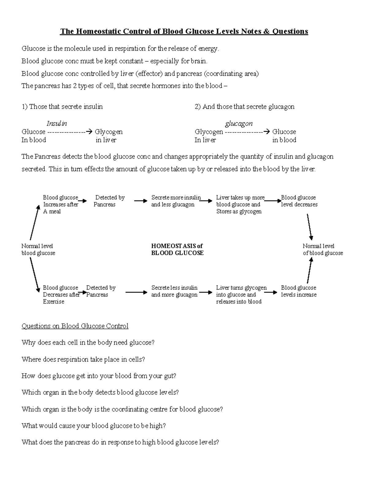 GCSE blood glucose control notes & Qs - The Homeostatic Control of ...
