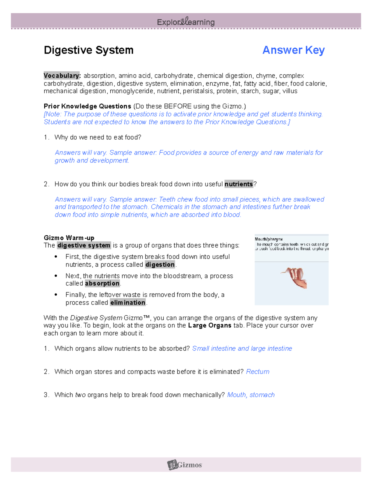 Digestive System Gizmo Answers for 10th Grade Science (SCI101) - Studocu