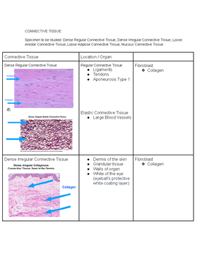 DIGESTIVE TRACT: Structure, Functions, and Components Overview - Studocu