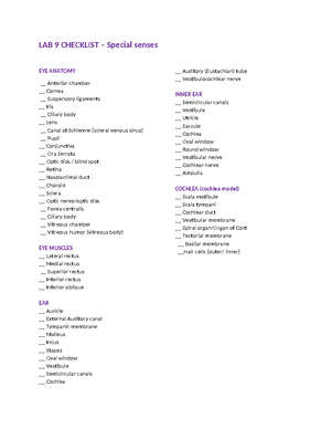 LAB 8 CHECKLIST: BRAIN ANATOMY & CRANIAL NERVES OVERVIEW - LAB 8 ...