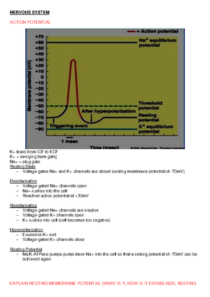 ECA COE Brochure 2016 - Code of Ethics Early Childhood Australia ...