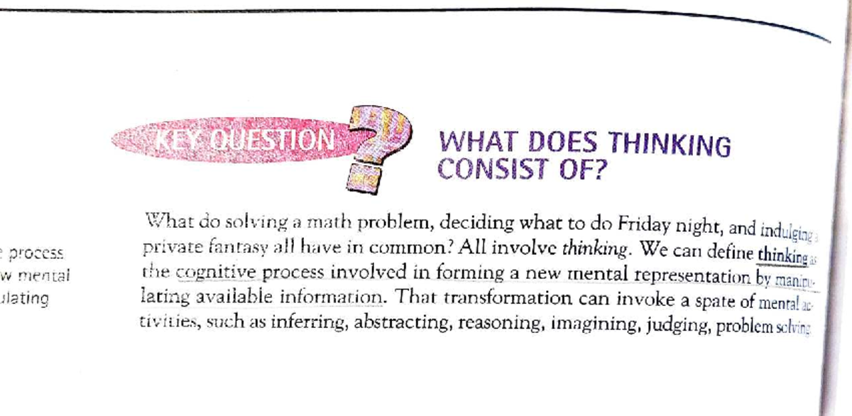 Components of Thought: Understanding Mental Processes in Psychology ...