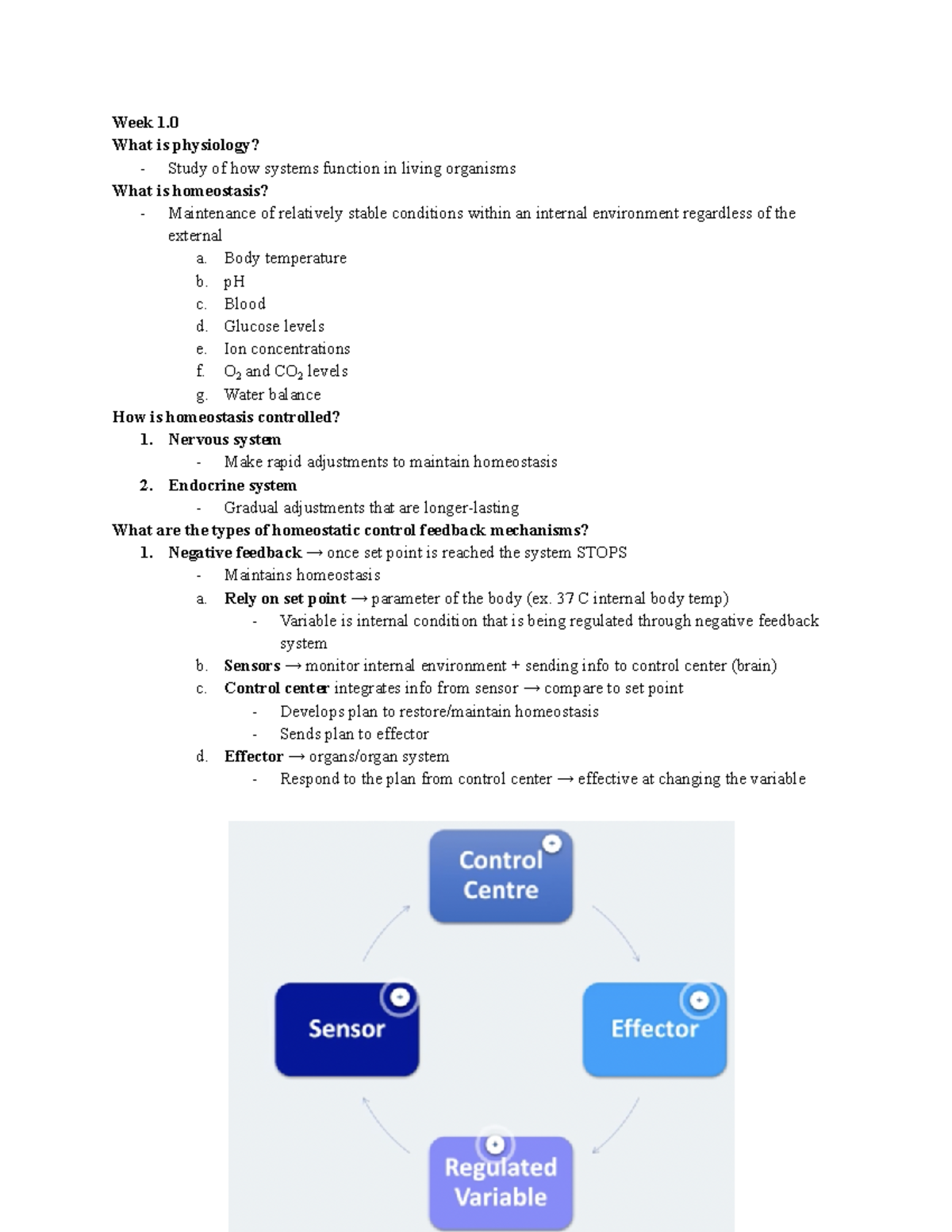 Physiology 2130 - Test 1 Lecture Notes on Homeostasis & Cell Functions ...