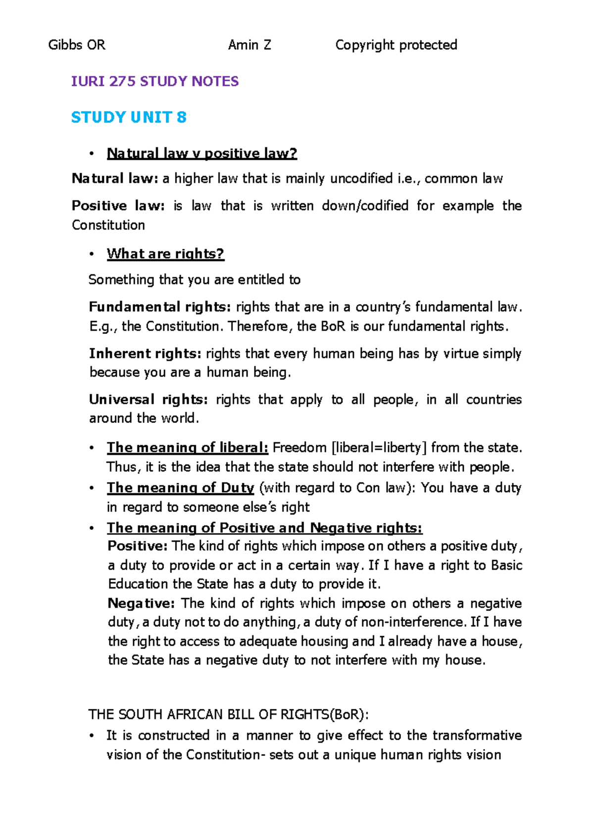 IURI 275 Study Notes: Natural Law vs Positive Law & Bill of Rights ...