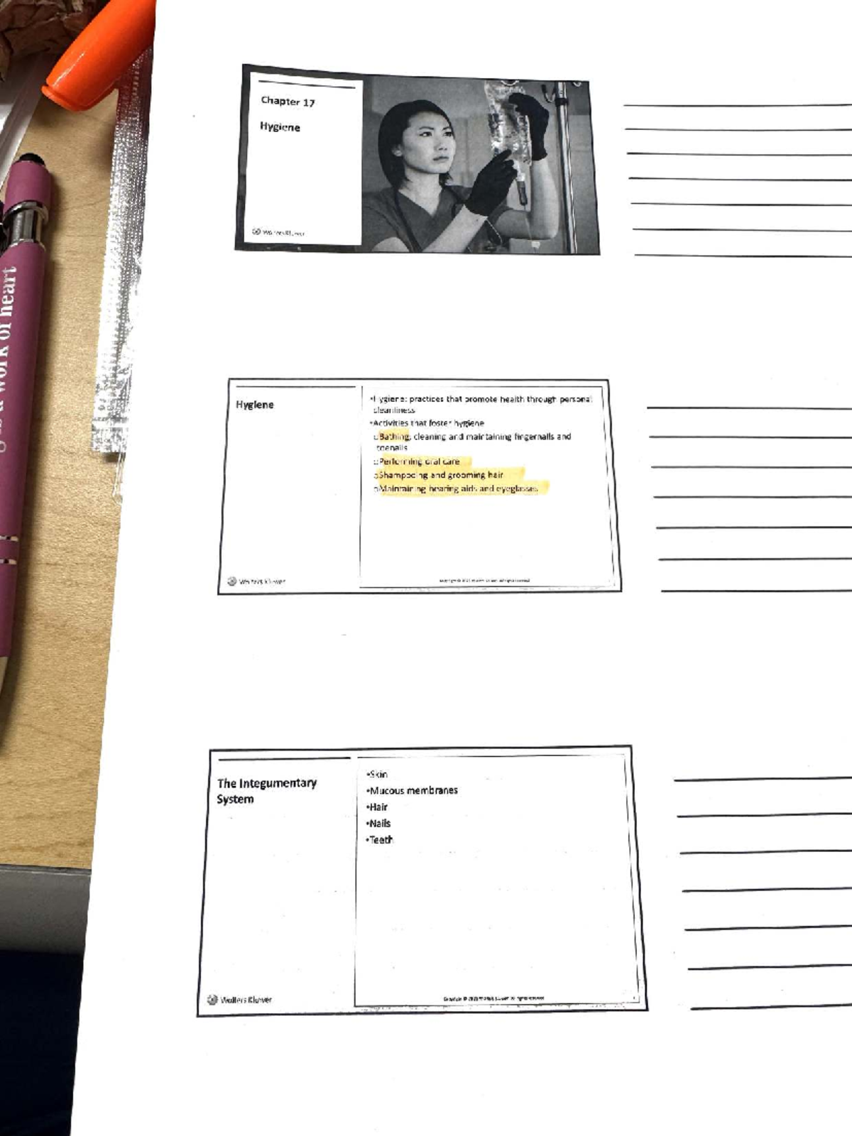 Final Exam Study Guide: Hygiene Practices and Health (HYG 101) - Studocu