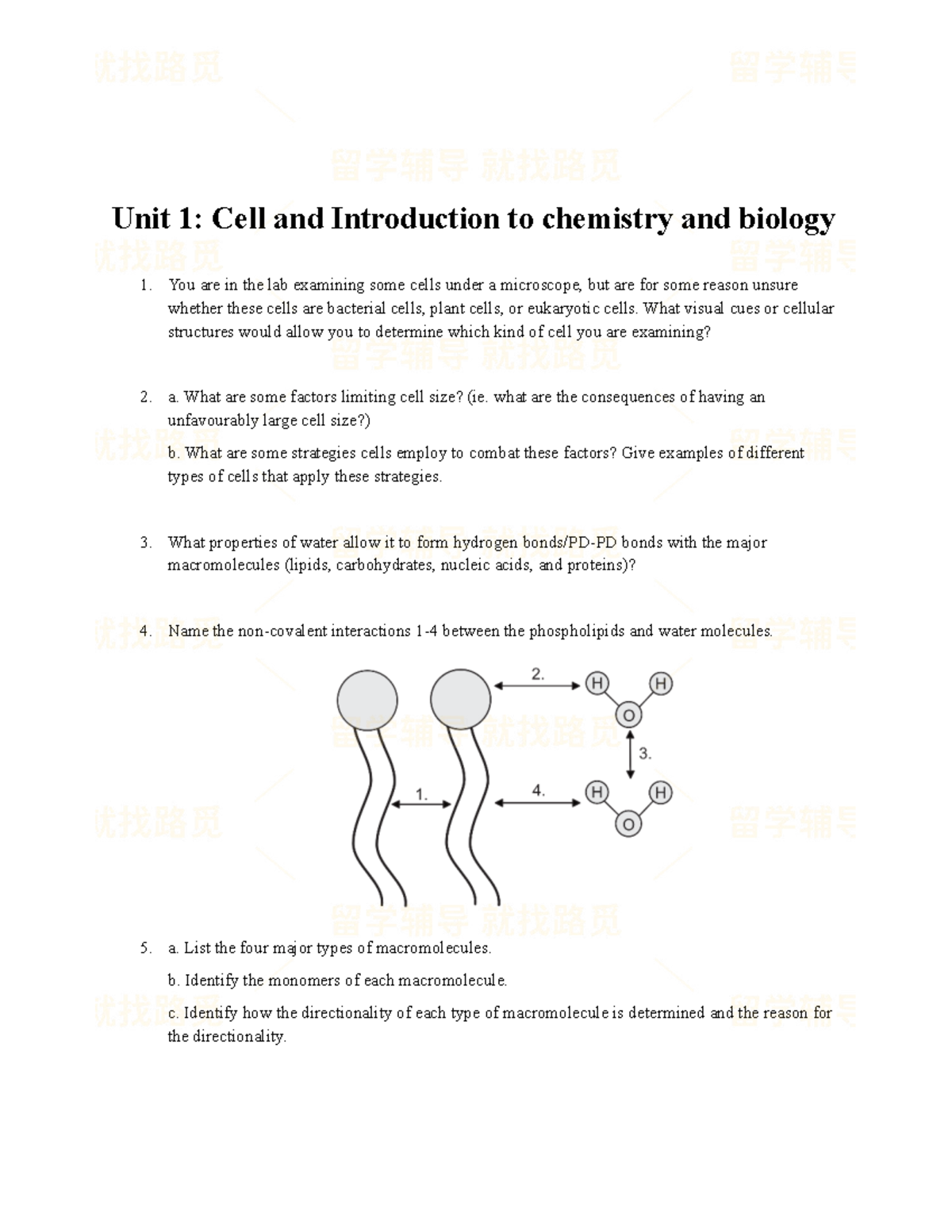 UBC BIOL112 Final Exam Review: Cell Biology & Metabolism Concepts - Studocu