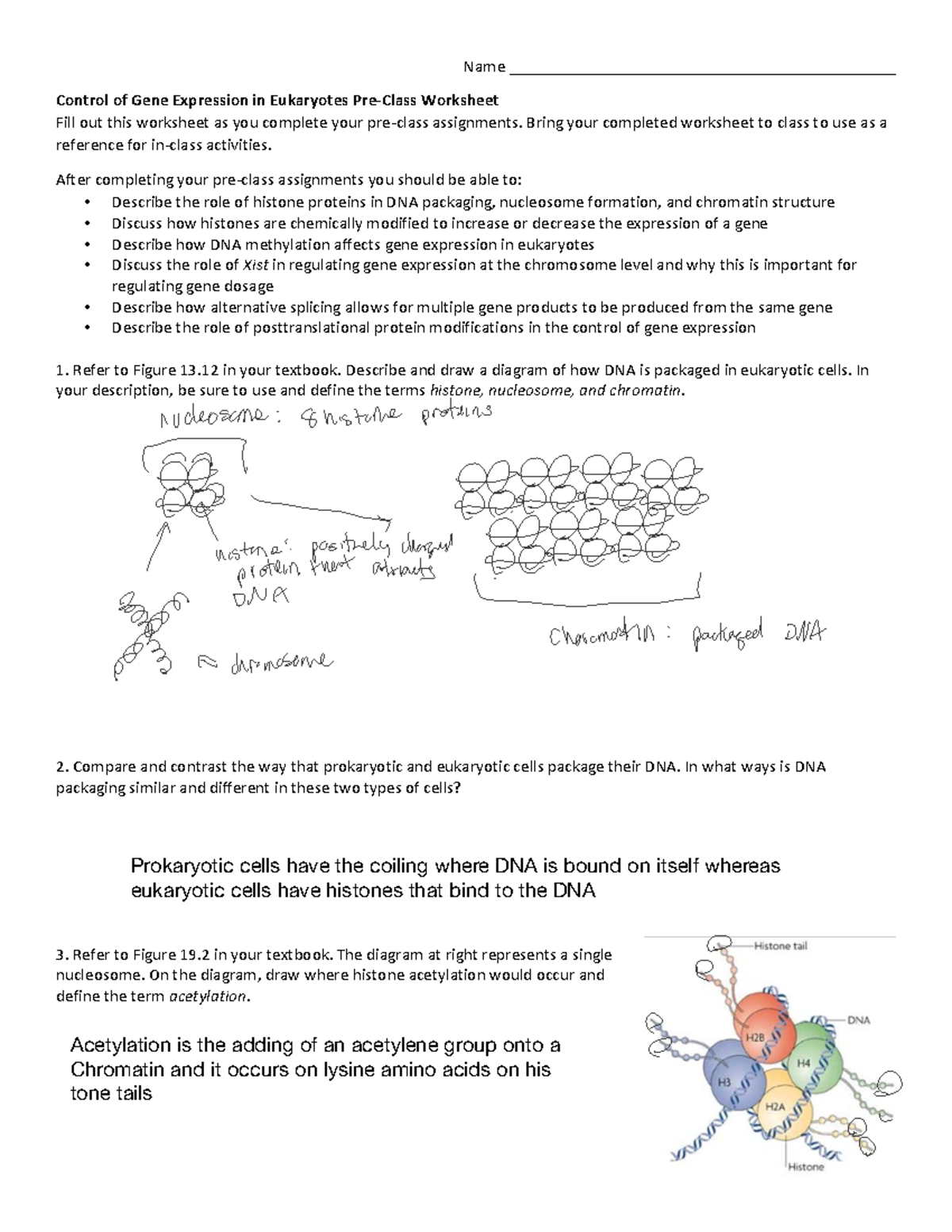Week 7b Eukaryotic Gene Expression: Pre-Class Worksheet Guide - Studocu