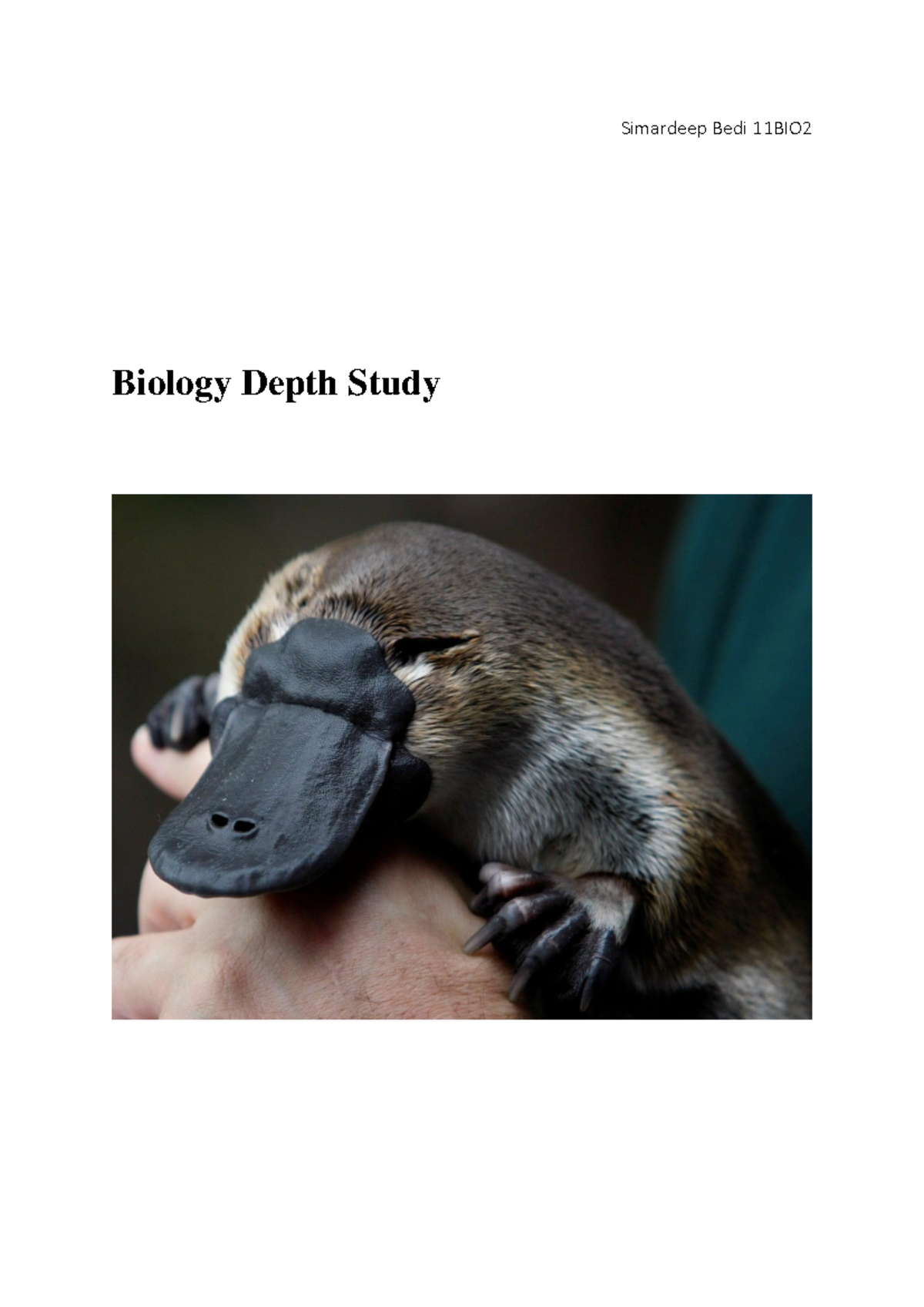 11BIO2 Biology Depth Study: Feasibility of Platypus Habitat at Glen ...