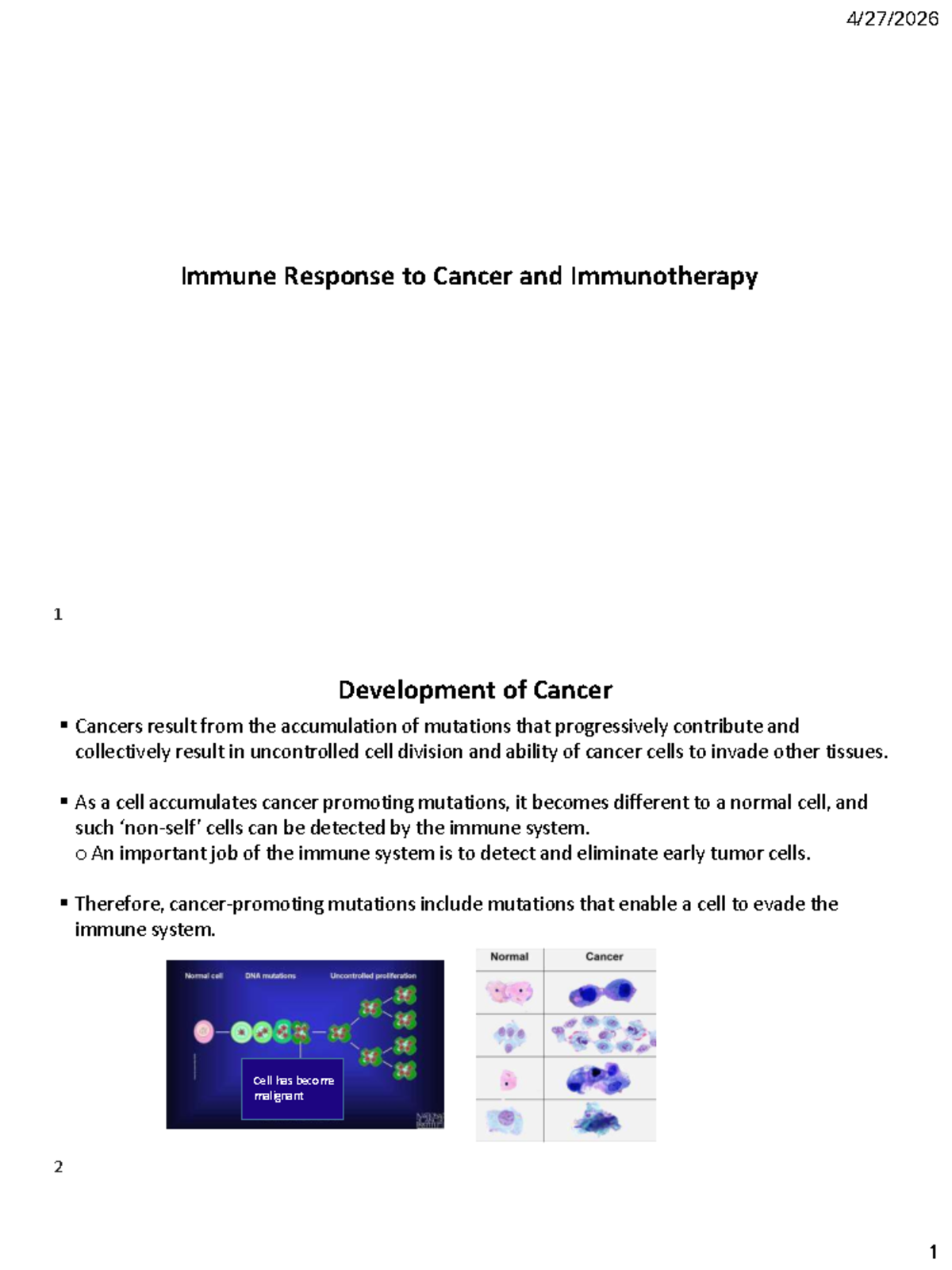 Immune Response to Cancer & Immunotherapy - Class Outline - Studocu