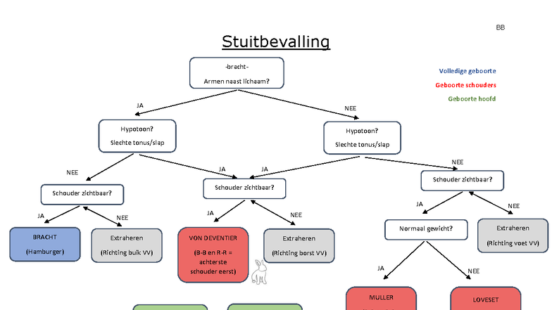 Stuitbevalling - fiche - BB Stuitbevalling JA JA JA NEE NEE NEE NEE NEE ...