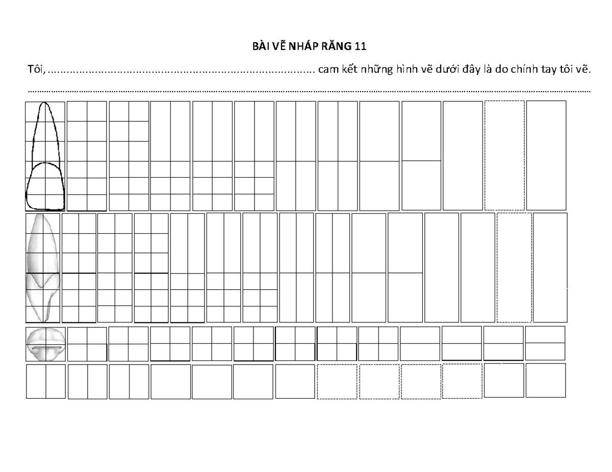 Ve nhap r11-21 - Các mặt của răng - giải phẫu - BÀI VẼ NHÁP RĂNG 1 1 ...