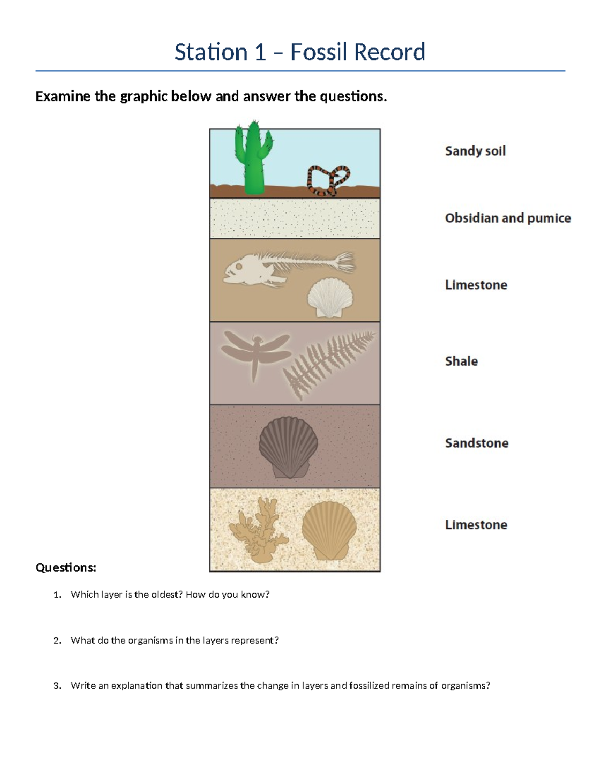 Evidence of Evolution Stations: Fossils, Structures & Phylogenetics ...