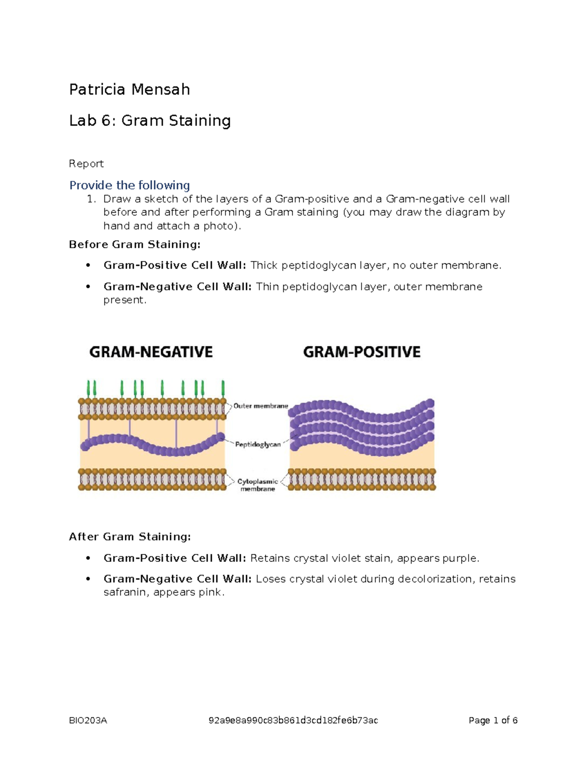 BIO203A M3 L6 Detailed Report on Gram Staining Techniques - Studocu