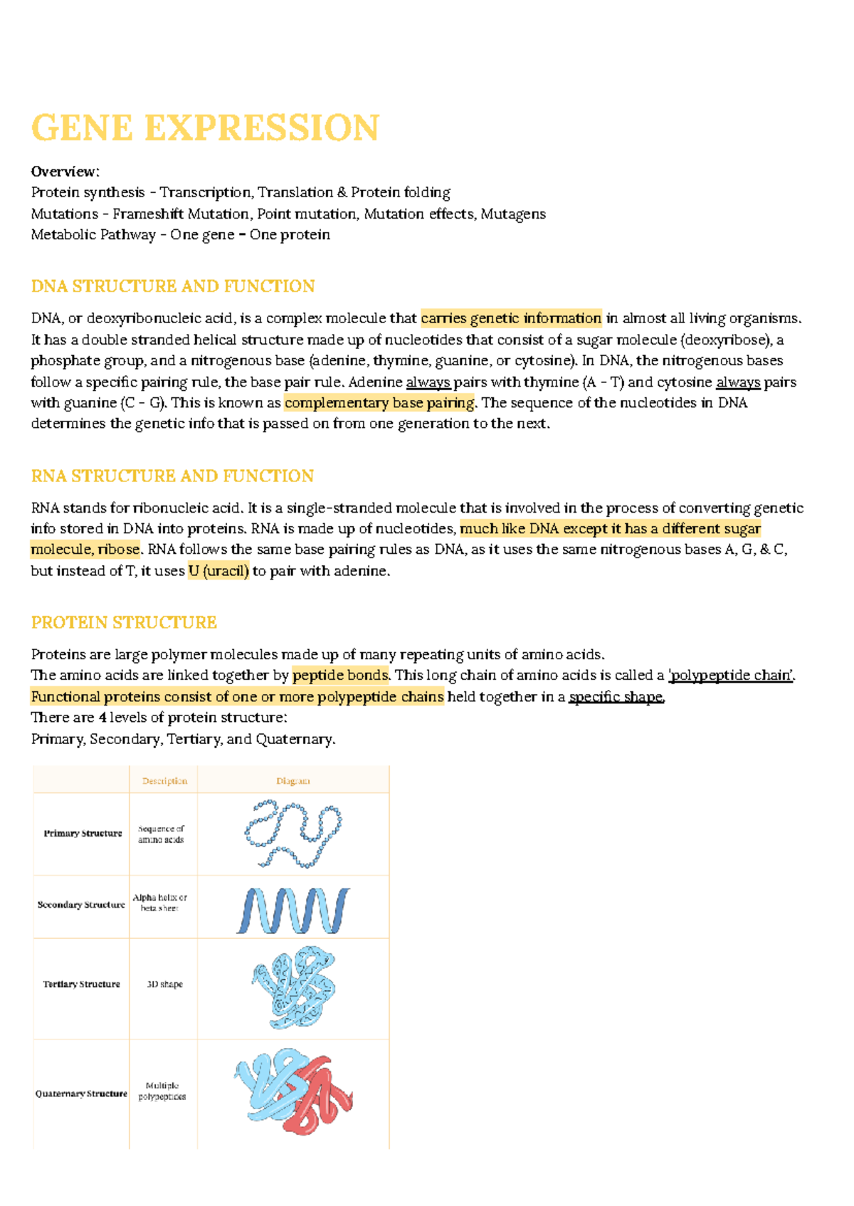 Level 3 Bio GENE Expression: Protein Synthesis & Mutations Overview ...