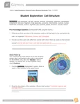Meiosis Gizmo - answers for bio - Name: Date: Student Exploration ...