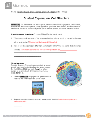 Meiosis Gizmo - answers for bio - Name: Date: Student Exploration ...
