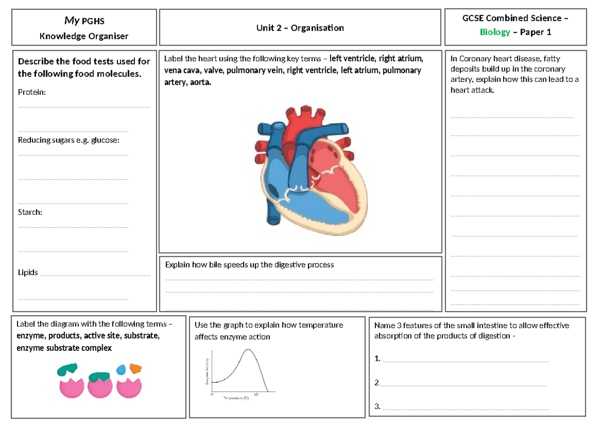 GCSE Combined Science - Biology Unit 2: Organisation Study Guide - Studocu
