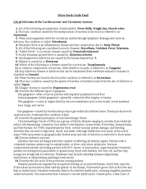 Lab Report Bacterial Isolation - NAME: DATE: Lab Report Bacterial ...