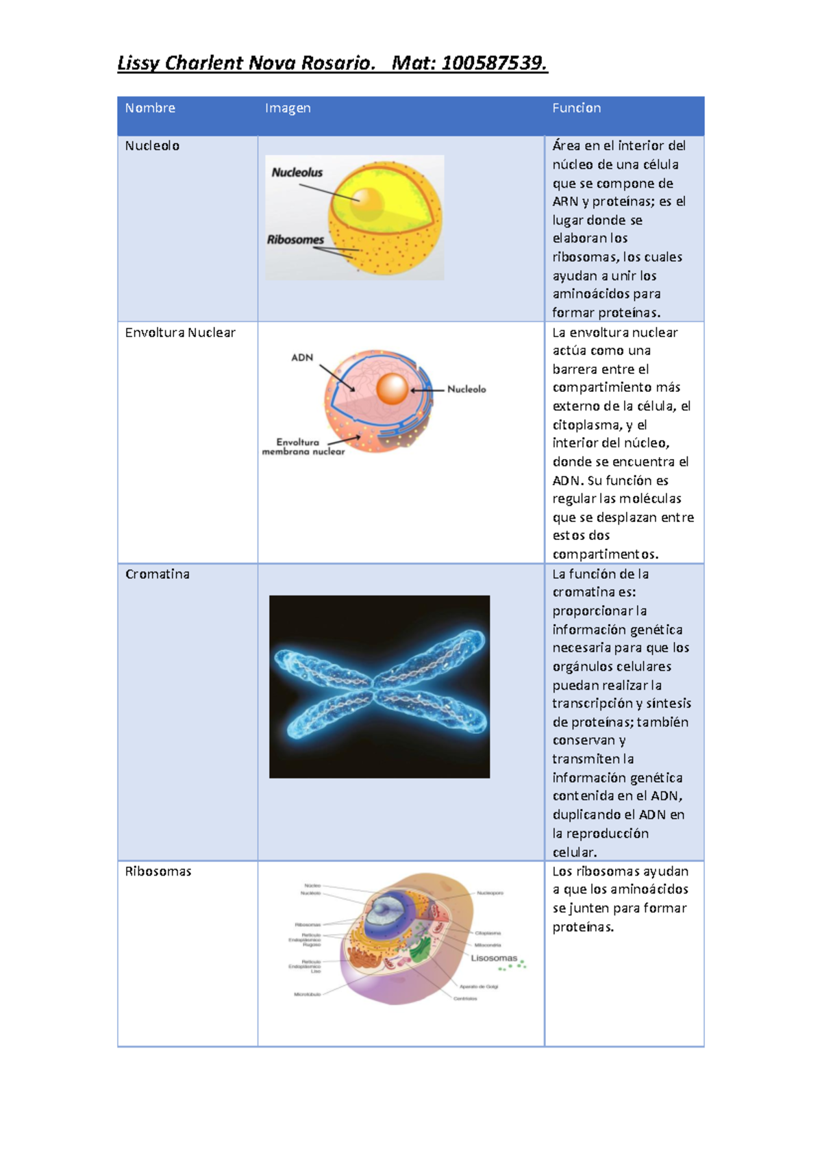 Cuadro #3 Lissy C. Nova Rosario - Lissy Charlent Nova Rosario. Mat: 100587539. Nombre Imagen ...
