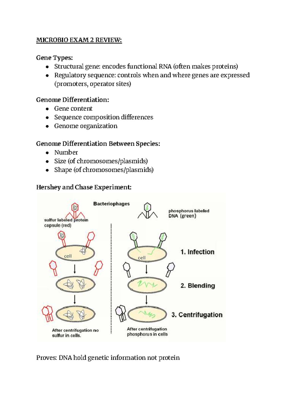Microbiology Exam 2 Review Notes: Gene Function, Replication ...