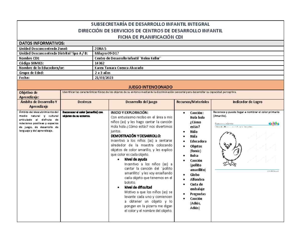 Planificación de Actividades para Niños de 2 a 3 Años en CDI - Studocu